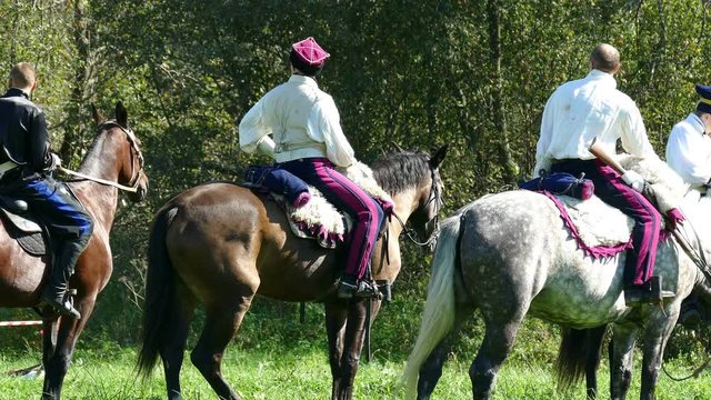 Cavalaria Imagens – Procure 37,535 fotos, vetores e vídeos | Adobe Stock