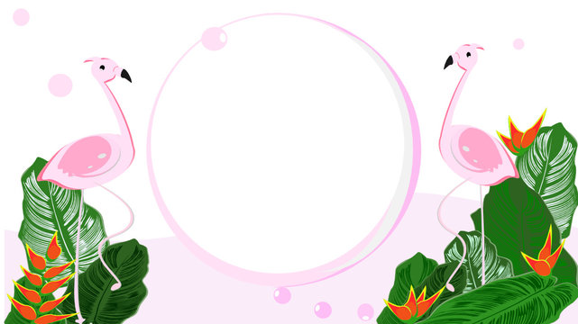 Pink Flamingo Clip Art Border Raster Illustration Tropical Island