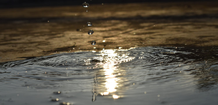 Trinath photos, images, assets | Adobe Stock