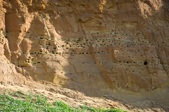 Camstone bilder – Bläddra bland 912 stockfoton, vektorer och videor ...