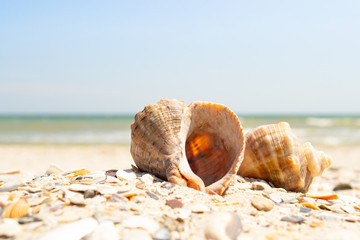 Vladyslav photos, images, assets | Adobe Stock