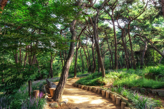 Achasan Images – Browse 58 Stock Photos, Vectors, and Video | Adobe Stock