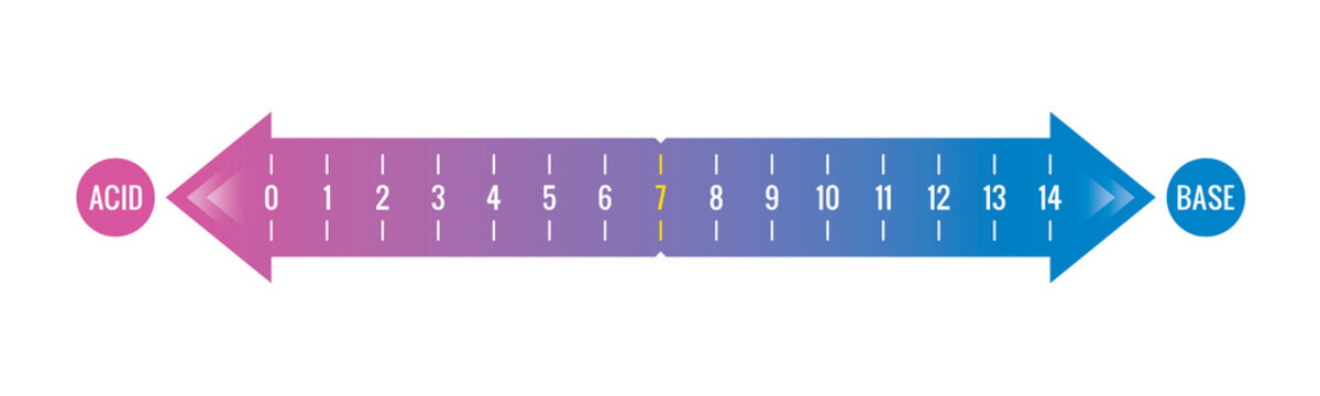 258 BEST Acid-Base IMAGES, STOCK PHOTOS & VECTORS | Adobe Stock