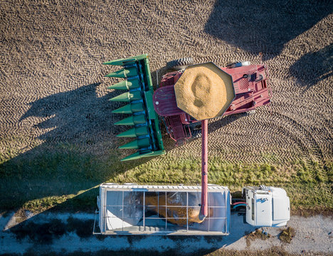 รูปภาพReaping – เลือกดูภาพถ่ายสต็อก เวกเตอร์ และวิดีโอ364,434 | Adobe Stock