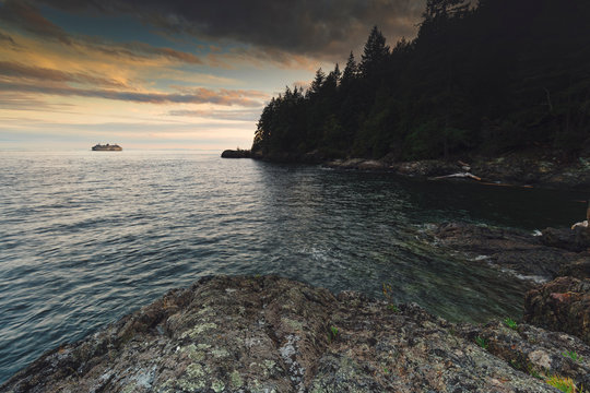 Apodaca Images – Browse 191 Stock Photos, Vectors, and Video | Adobe Stock