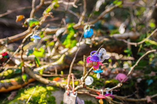 Schnullerfee-Bilder: Stock-Fotos & -Videos. | Adobe Stock