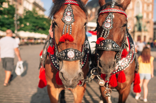 Ebent Bilder – Durchsuchen 68 Archivfotos, Vektorgrafiken und Videos ...