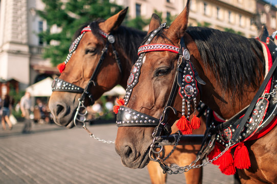 รูปภาพEbent – เลือกดูภาพถ่ายสต็อก เวกเตอร์ และวิดีโอ68 | Adobe Stock
