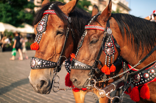 Ebent Bilder – Durchsuchen 68 Archivfotos, Vektorgrafiken und Videos ...