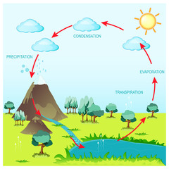 Oxygen Cycle photos, royalty-free images, graphics, vectors & videos ...