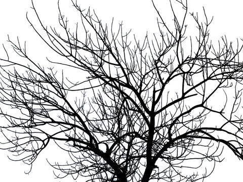 รูปภาพLeave-Less – เลือกดูภาพถ่ายสต็อก เวกเตอร์ และวิดีโอ34 | Adobe Stock