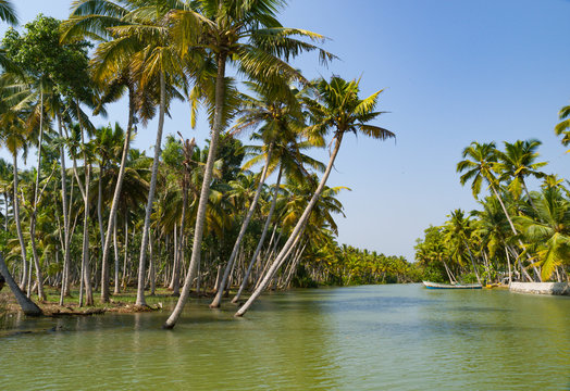 รูปภาพBackwater – เลือกดูภาพถ่ายสต็อก เวกเตอร์ และวิดีโอ23,207 | Adobe ...