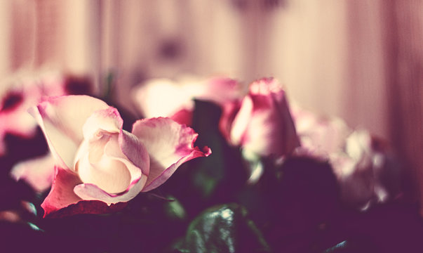 "Romantisch - Images et vidéos libres de droits | Adobe Stock