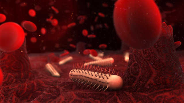 รูปภาพMicroflora – เลือกดูภาพถ่ายสต็อก เวกเตอร์ และวิดีโอ9,632 | Adobe ...