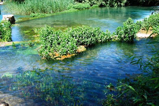 รูปภาพPanias – เลือกดูภาพถ่ายสต็อก เวกเตอร์ และวิดีโอ1,215 | Adobe Stock