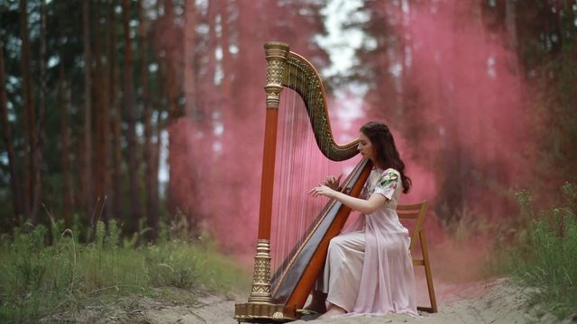 Harp Video Footage – Browse 1,716 HD Stock Video and Footage | Adobe Stock