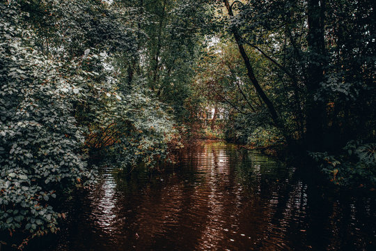 Madalin photos, images, assets | Adobe Stock