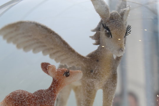 Seegel Bilder – Durchsuchen 65 Archivfotos, Vektorgrafiken und Videos ...