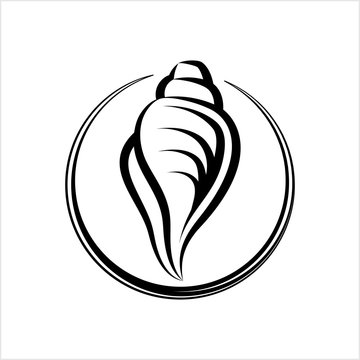 Obrázky Shankh – procházejte fotografie, vektory a videa 353 | Adobe Stock