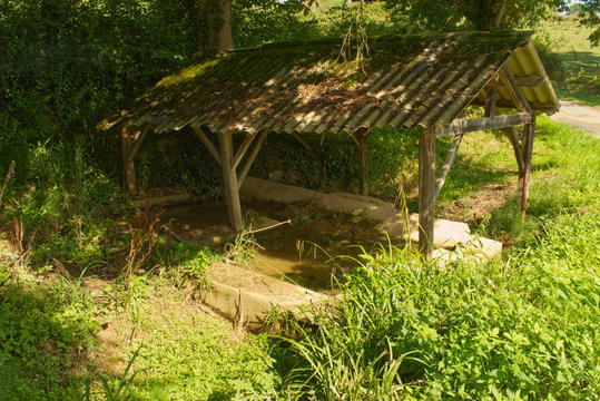 รูปภาพEssorer – เลือกดูภาพถ่ายสต็อก เวกเตอร์ และวิดีโอ206 | Adobe Stock