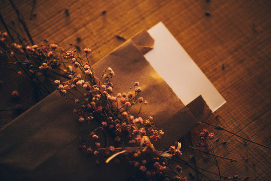 Cigar Paper Texture Bilder – Durchsuchen 1,644 Archivfotos ...