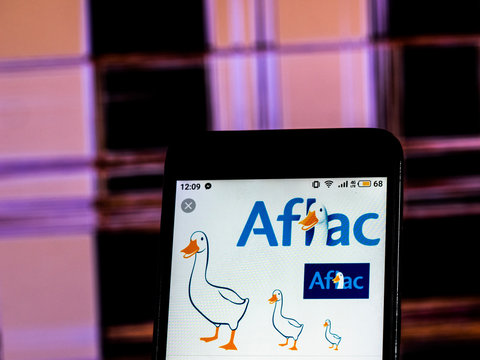 「Aflac」の画像 - 58 件の Stock 写真、ベクターおよびビデオ | Adobe Stock