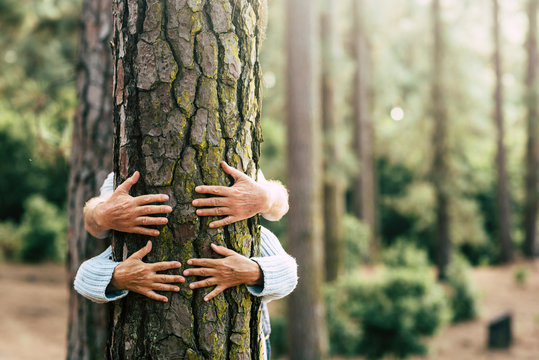"Hugging Tree" Images – Browse 180 Stock Photos, Vectors, and Video ...