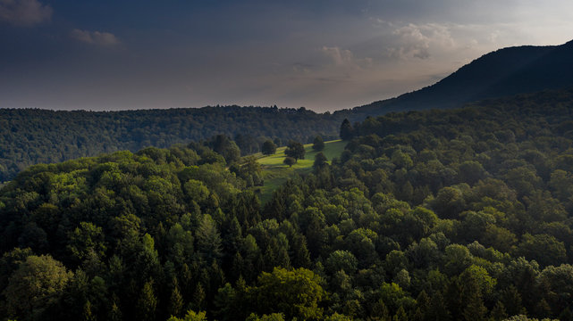 รูปภาพWaldland – เลือกดูภาพถ่ายสต็อก เวกเตอร์ และวิดีโอ421 | Adobe Stock