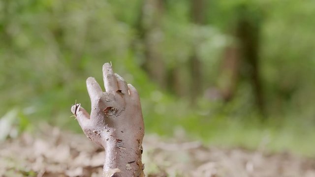 Quicksand Video Footage – Browse 348 HD Stock Video and Footage | Adobe ...