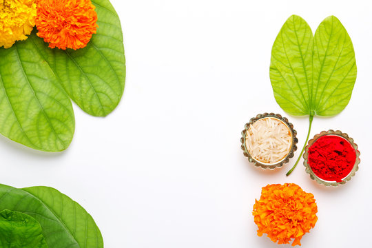 Apta Images – Browse 2,028 Stock Photos, Vectors, and Video | Adobe Stock