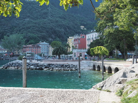 Haustrum Bilder – Durchsuchen 194 Archivfotos, Vektorgrafiken und ...