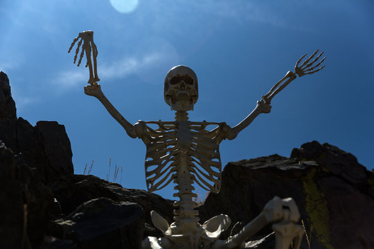 Creepily-Bilder: Stock-Fotos & -Videos. | Adobe Stock