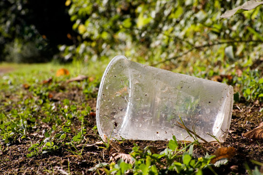 Guileless Images – Browse 1,106 Stock Photos, Vectors, and Video ...