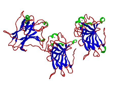 รูปภาพBiomolecule – เลือกดูภาพถ่ายสต็อก เวกเตอร์ และวิดีโอ4,512 | Adobe ...