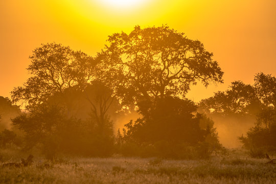 Sunrise In African Bush Images – Browse 9,103 Stock Photos, Vectors ...