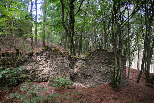 Neroth 이미지 – 찾아보기 17 스톡 사진, 벡터 및 비디오 | Adobe Stock