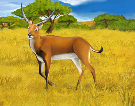 รูปภาพKoba – เลือกดูภาพถ่ายสต็อก เวกเตอร์ และวิดีโอ1,041 | Adobe Stock