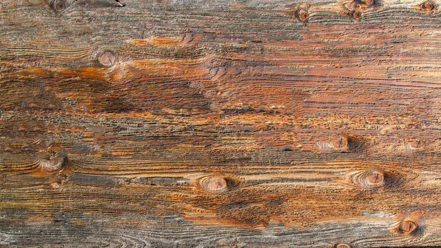 Retri Images – Browse 51 Stock Photos, Vectors, and Video | Adobe Stock