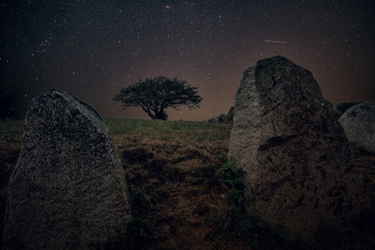รูปภาพNobbin – เลือกดูภาพถ่ายสต็อก เวกเตอร์ และวิดีโอ73 | Adobe Stock