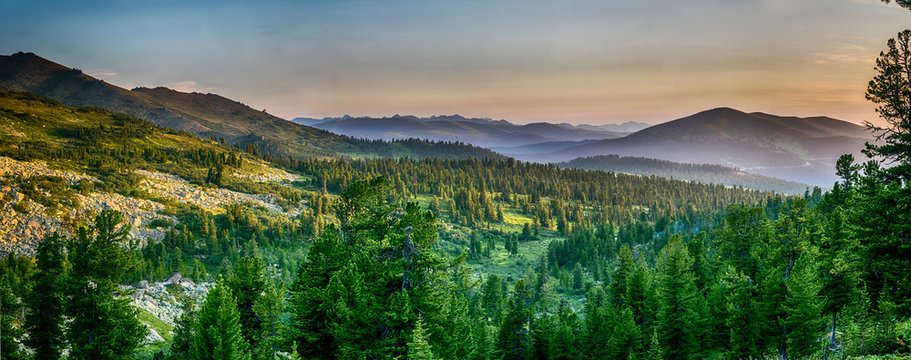 Taiga-Bilder: Stock-Fotos & -Videos. | Adobe Stock