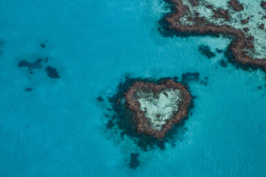 "Heart Reef"-Bilder: Stock-Fotos & -Videos. | Adobe Stock