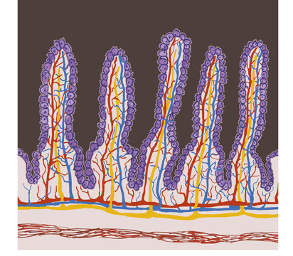 2,365 BEST Villi IMAGES, STOCK PHOTOS & VECTORS | Adobe Stock