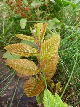 รูปภาพJkd – เลือกดูภาพถ่ายสต็อก เวกเตอร์ และวิดีโอ102 | Adobe Stock