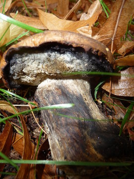 รูปภาพJkd – เลือกดูภาพถ่ายสต็อก เวกเตอร์ และวิดีโอ102 | Adobe Stock