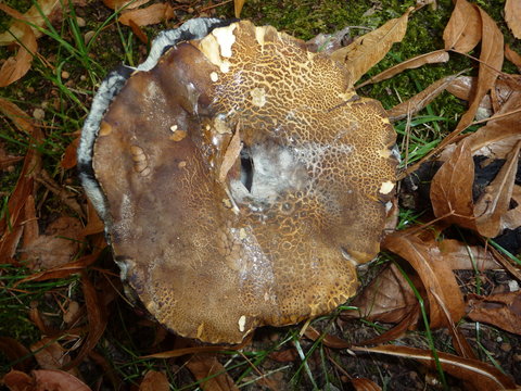 รูปภาพJkd – เลือกดูภาพถ่ายสต็อก เวกเตอร์ และวิดีโอ102 | Adobe Stock