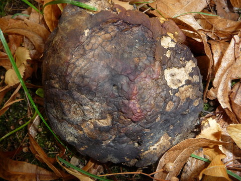 รูปภาพJkd – เลือกดูภาพถ่ายสต็อก เวกเตอร์ และวิดีโอ102 | Adobe Stock