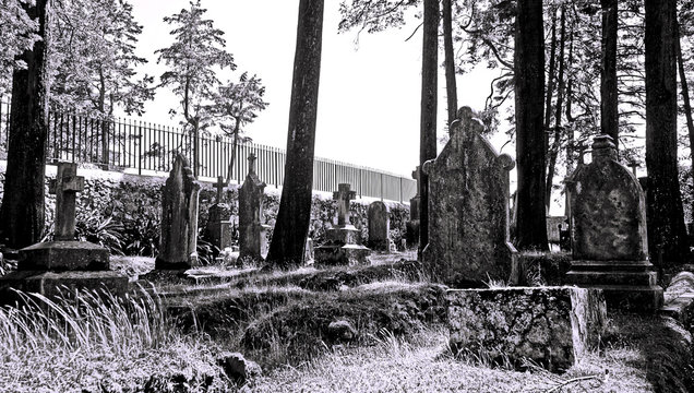 「Lapidas」の写真素材 | 195件の無料イラスト画像 | Adobe Stock