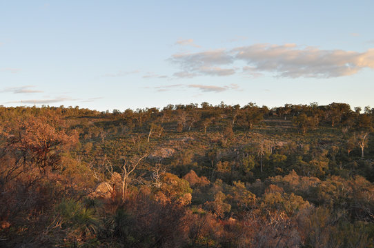 Kalamunda Images – Browse 43 Stock Photos, Vectors, and Video | Adobe Stock
