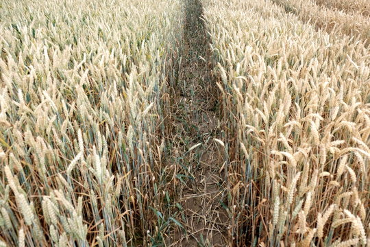 Nartur Bilder – Durchsuchen 64 Archivfotos, Vektorgrafiken und Videos ...