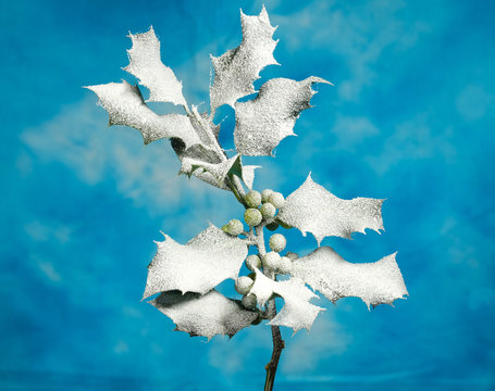 "Holly Sprig" Images – Browse 75 Stock Photos, Vectors, and Video ...